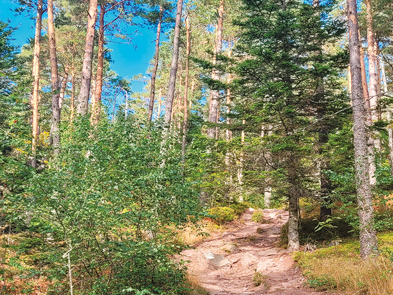 Rendez-vous du 24 au 28 avril dans les Vosges pour la randonnée 2023 ...