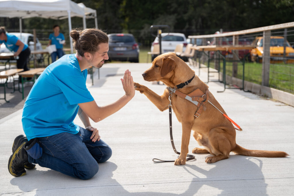 Un élan de solidarité en faveur de l'association de chiens guides ...